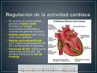 CLASE DE CARDIOLOGIA UCEBOL GRUPO A PARTE 2 | PPTX