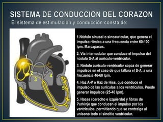 CLASE DE CARDIOLOGIA UCEBOL GRUPO A PARTE 2 | PPTX