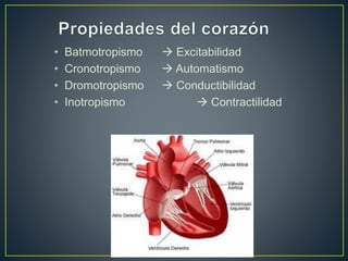 CLASE DE CARDIOLOGIA UCEBOL GRUPO A PARTE 2 | PPTX