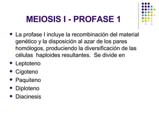 Ciclo Celular | PPS
