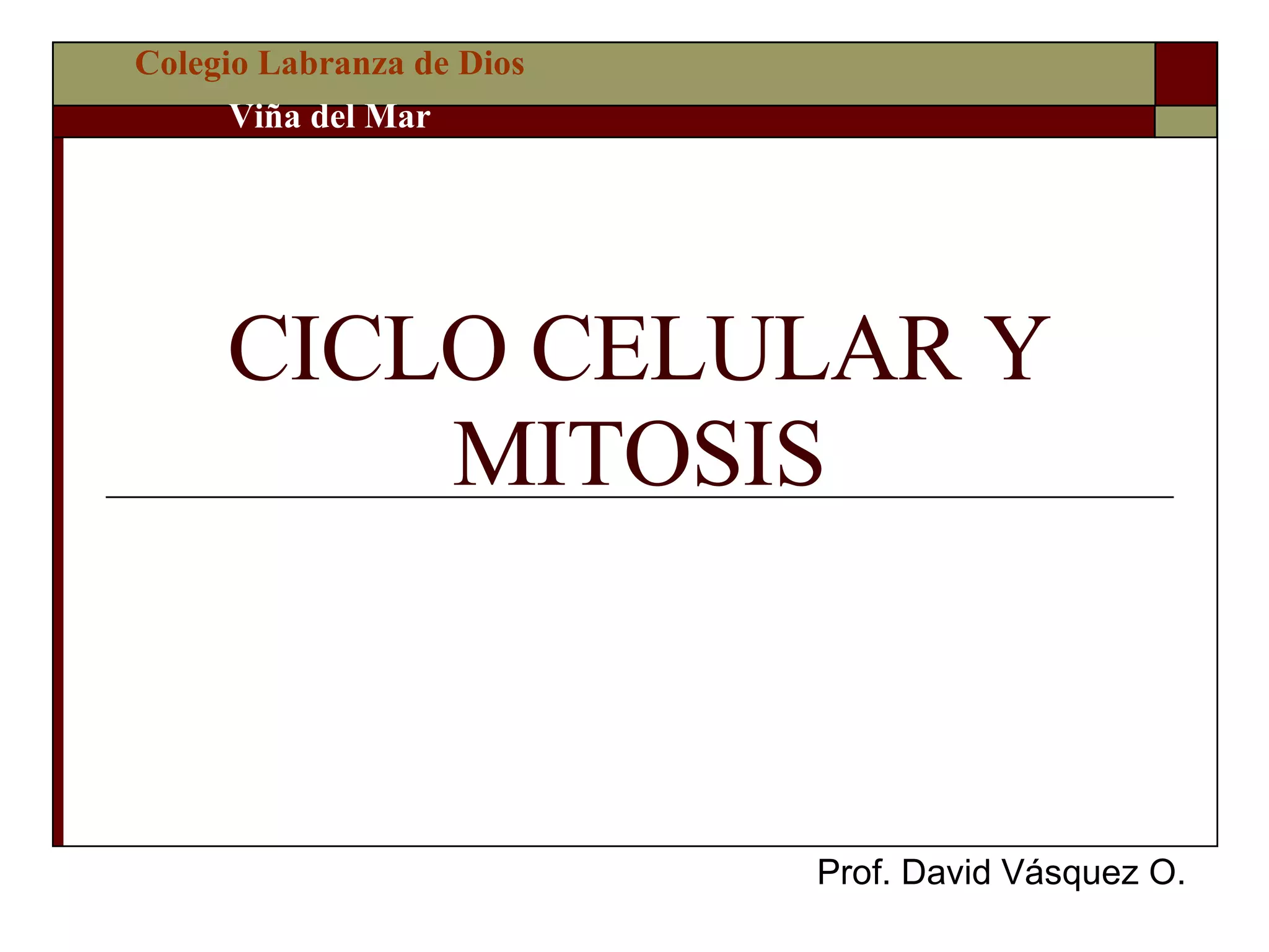 Ciclo Celular Y Mitosis | PPT