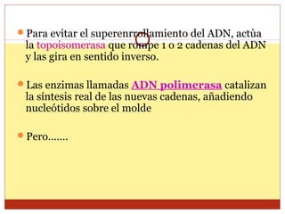 Biología - Ciclo Celular y Replicación del ADN | PPT