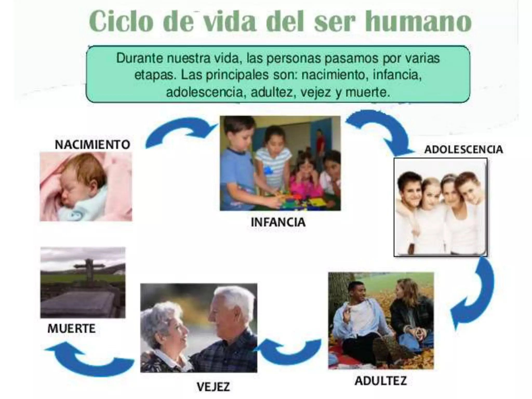 CICLO DE VIDA SERES VIVOS.pptx