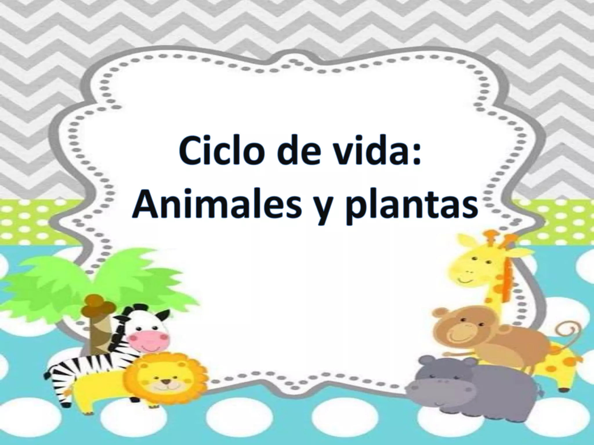 CICLO-DE-VIDA-SERES-VIVOS.pptx
