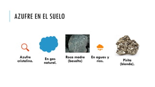 Ciclo del azufre y fosforo | PDF