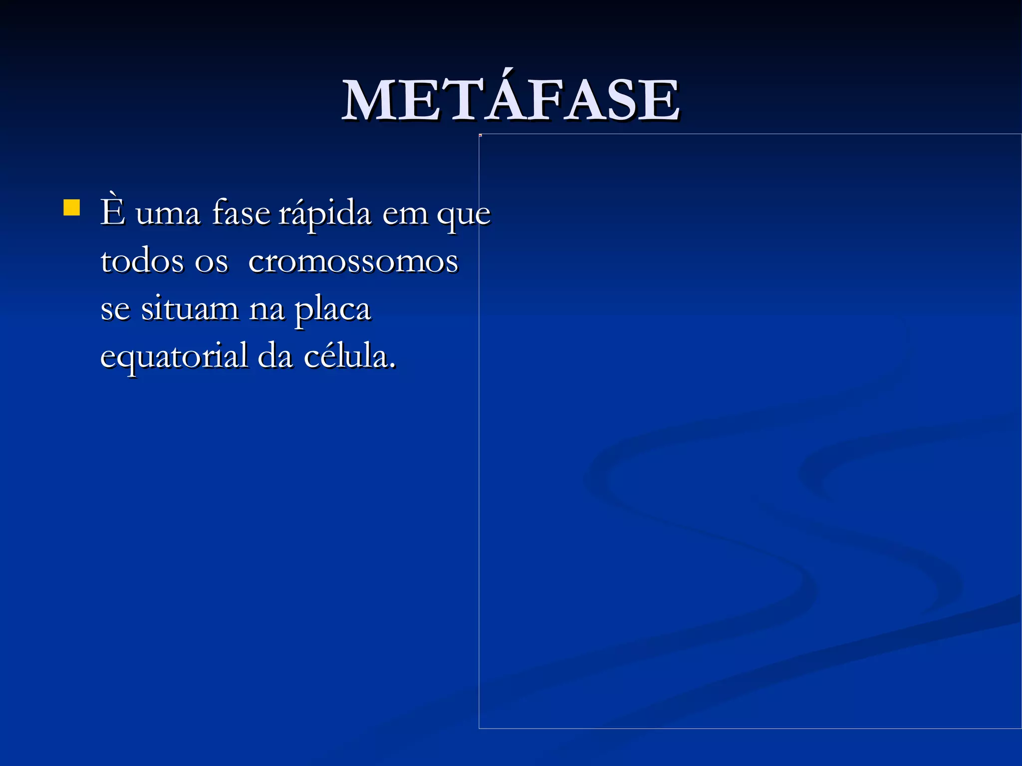 Ciclo E DivisãO Celular Mitose | PPT
