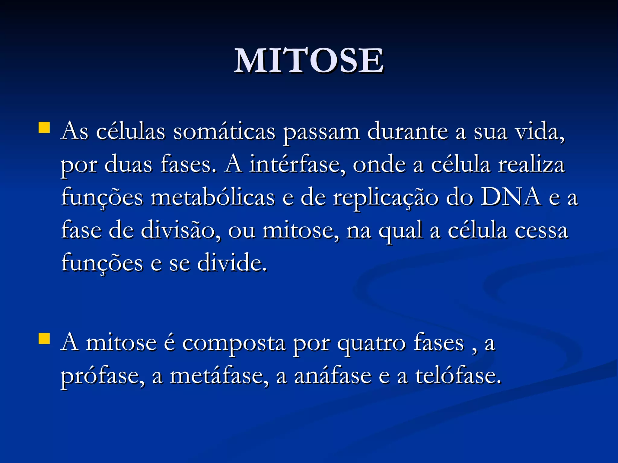 Ciclo E DivisãO Celular Mitose | PPT