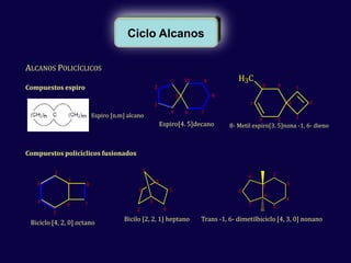 Ciclo alcanos.ppt