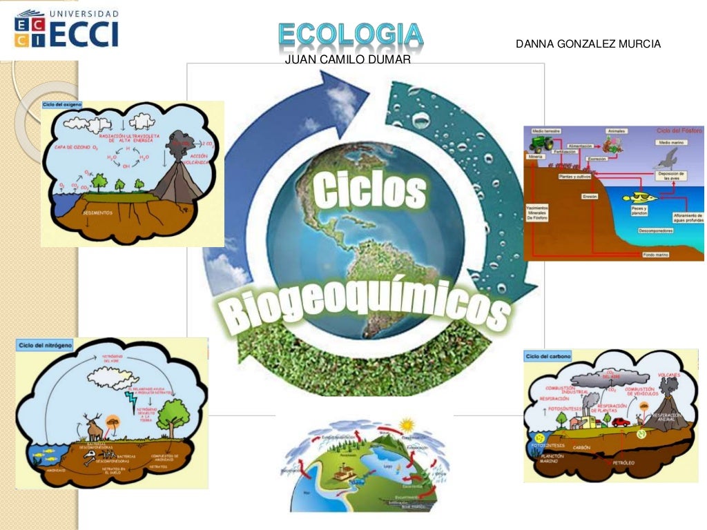 Ciclo biogeoquimicos exposicion azufre