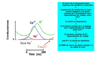 Ciclo cardiaco | PPT