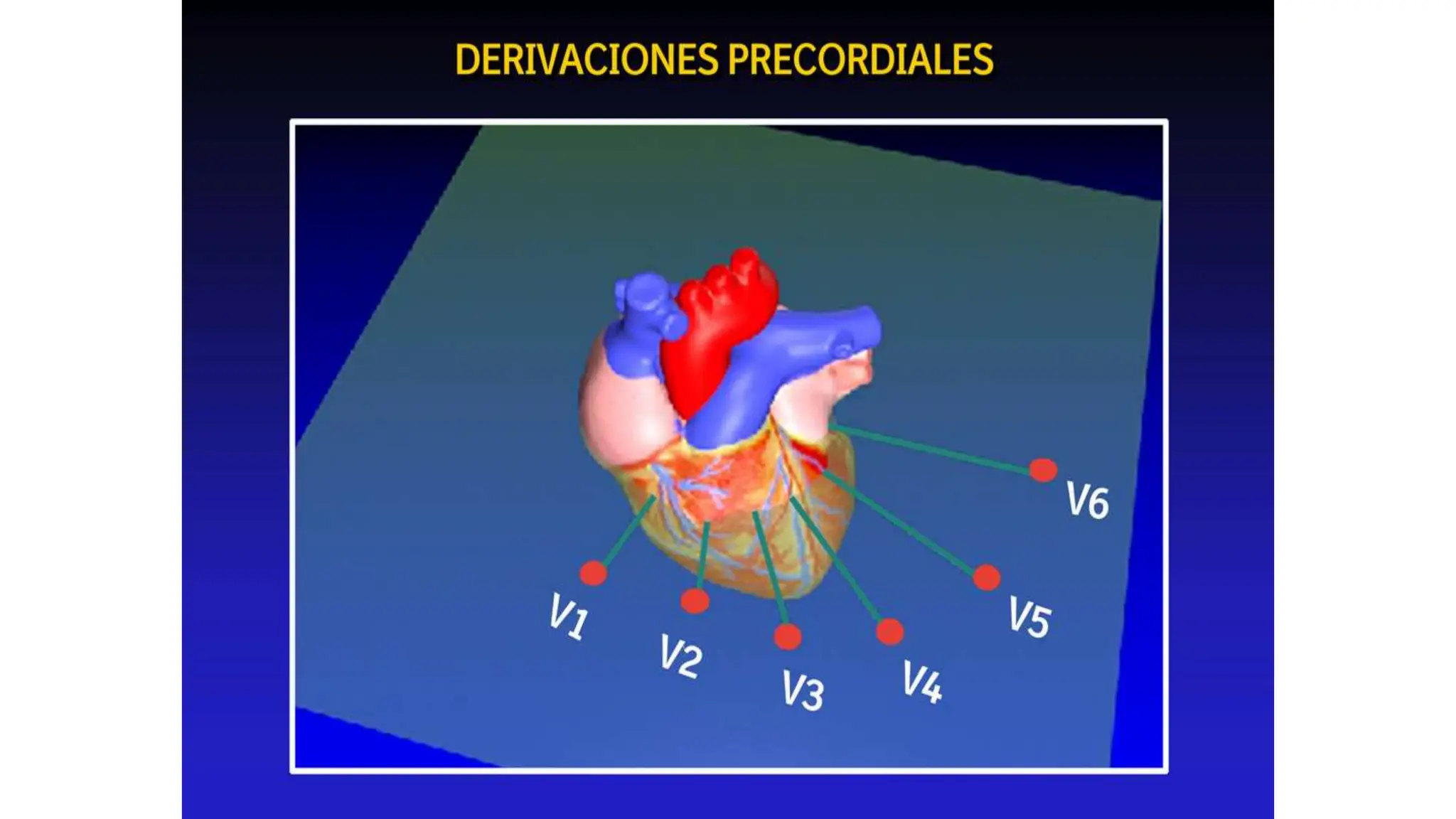 Ciclo cardiaco - corazon como bomba cardiaca | PPTX