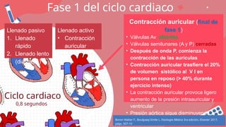 Ciclo cardiaco y sus fases en el elecdtrocardiograma.pptx