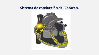 Ciclo cardiaco. Para médicos residentes Gustavo Colindres.pptx