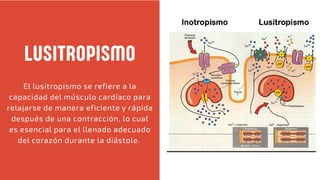 Presentación de Ciclo cardiaco (Histología Humana).pdf
