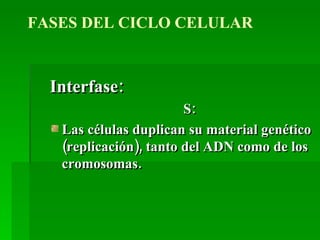 Ciclo Celular | PPT