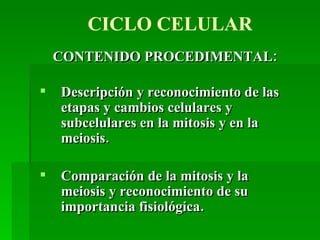 Ciclo Celular | PPT