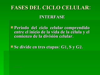 Ciclo Celular | PPT