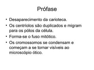 Ciclo celular | PPT