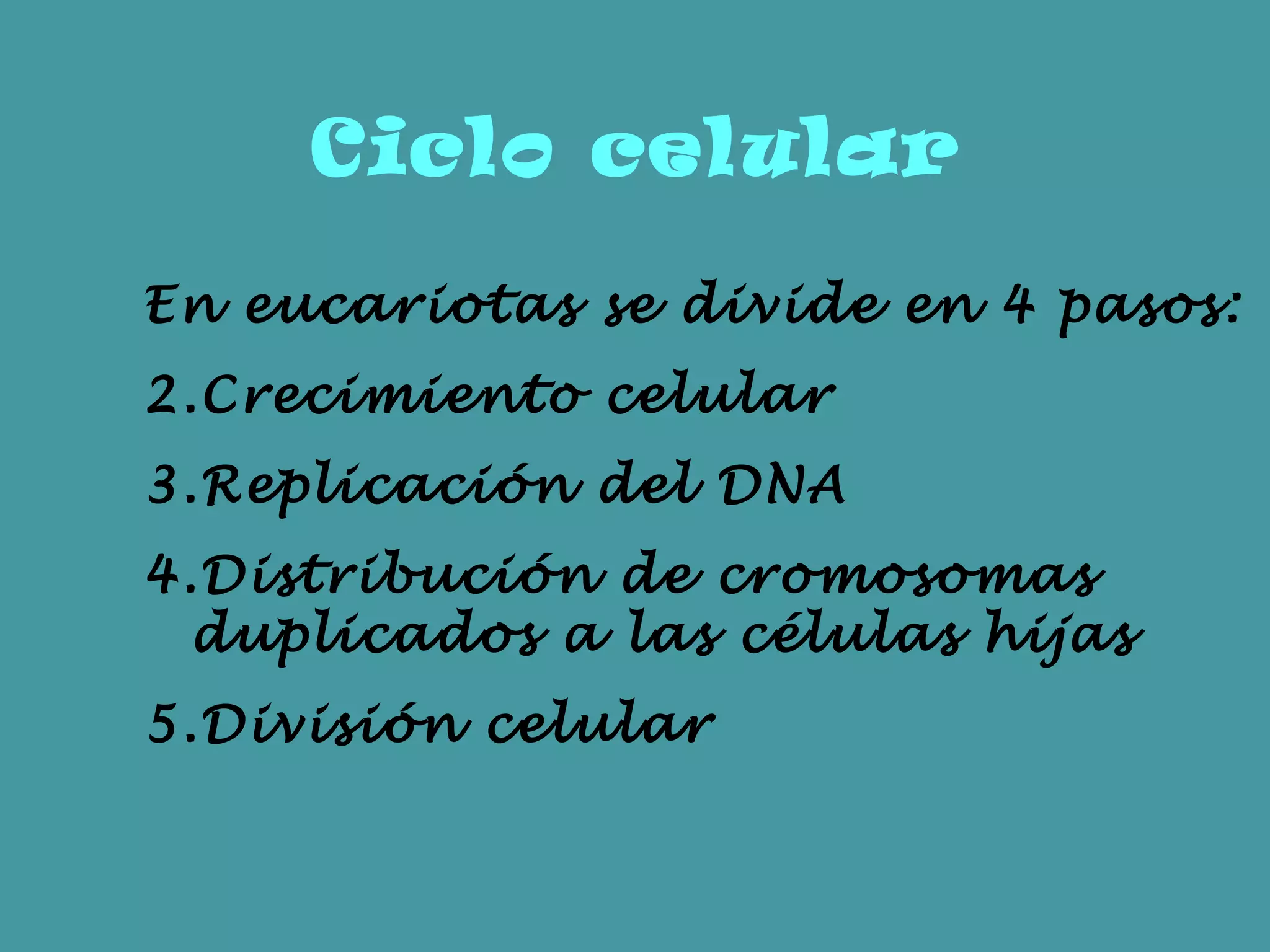 Ciclo celular | PPT