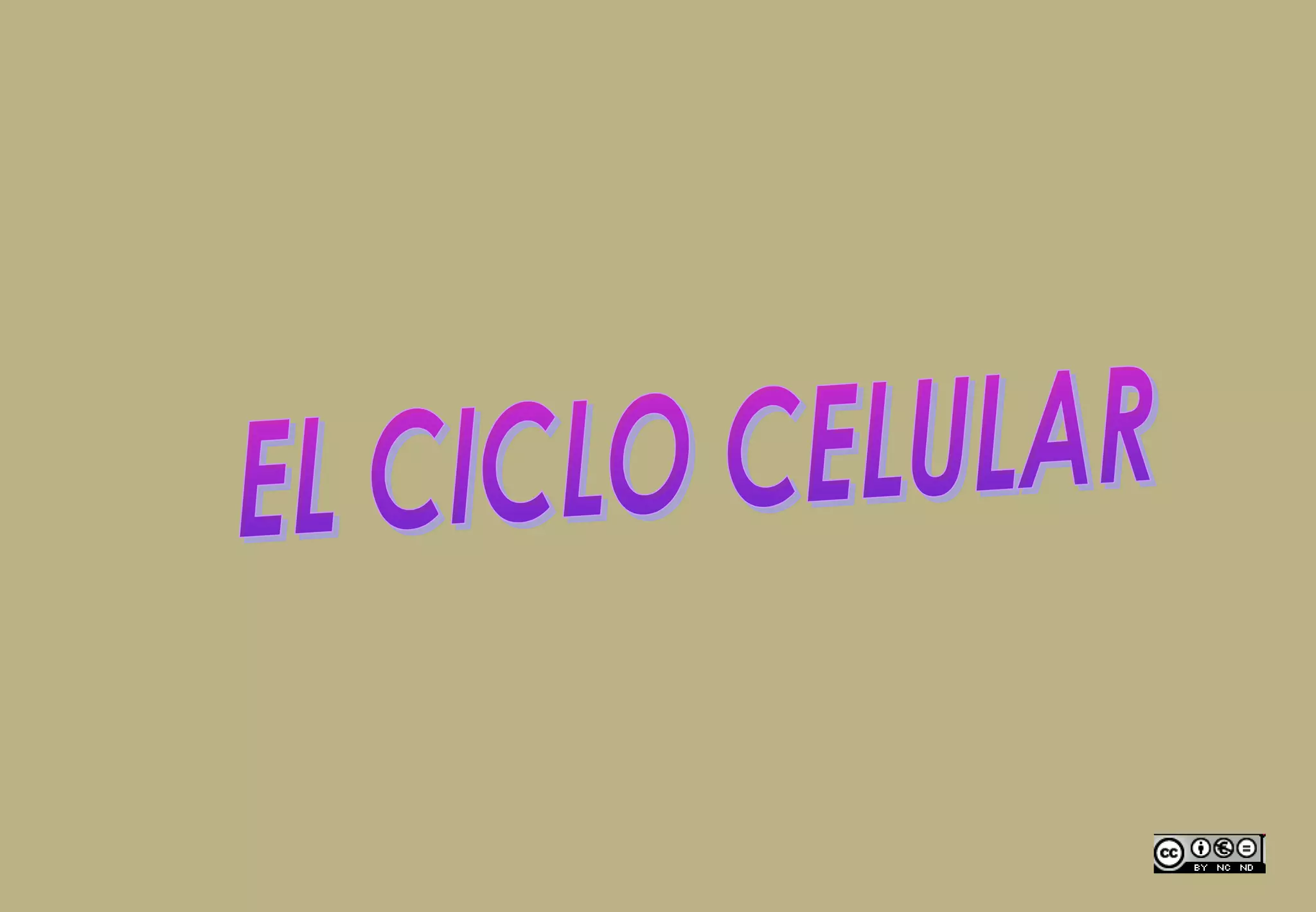 Ciclo Celular Ppt