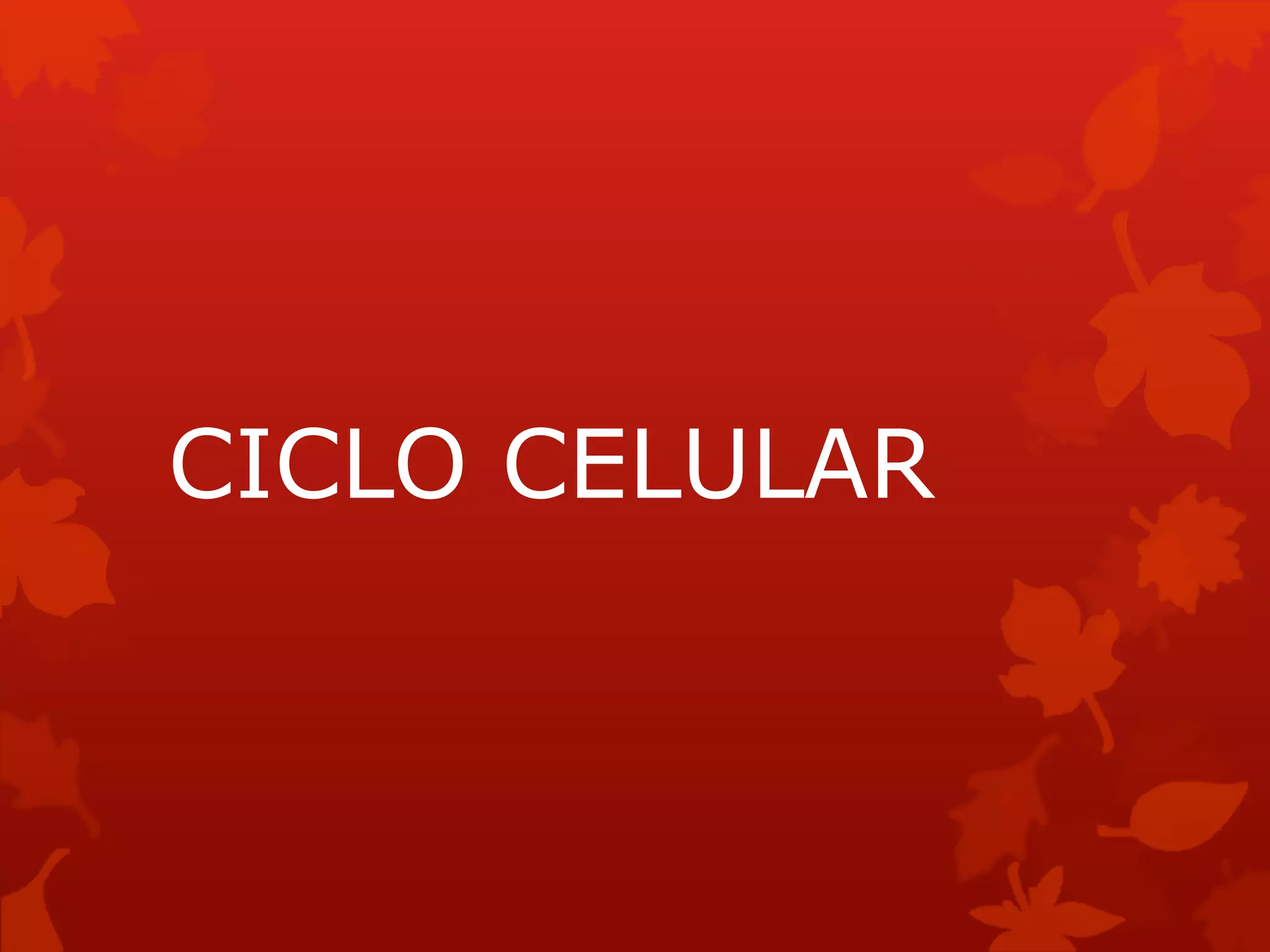 Ciclo Celular Ppt