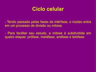 Mitose e meiose | ODP