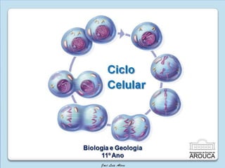 Ciclo celular | PPT