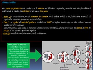 Ciclo celular.ppt