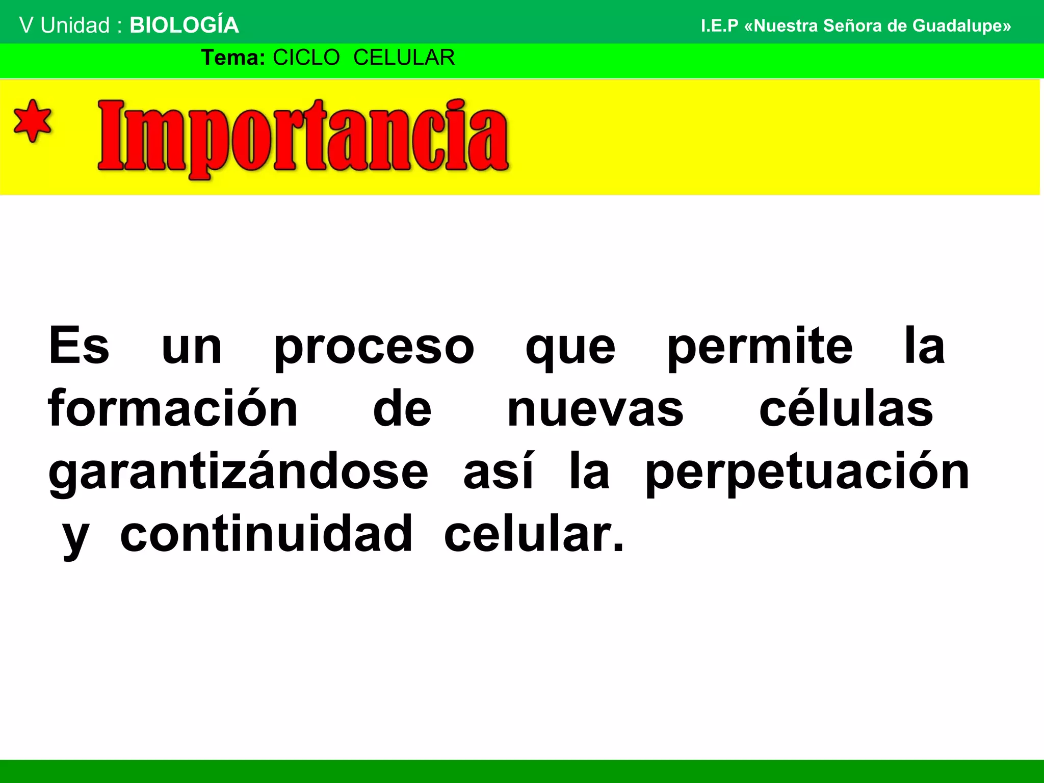 Ciclo celular mitosis | PPT