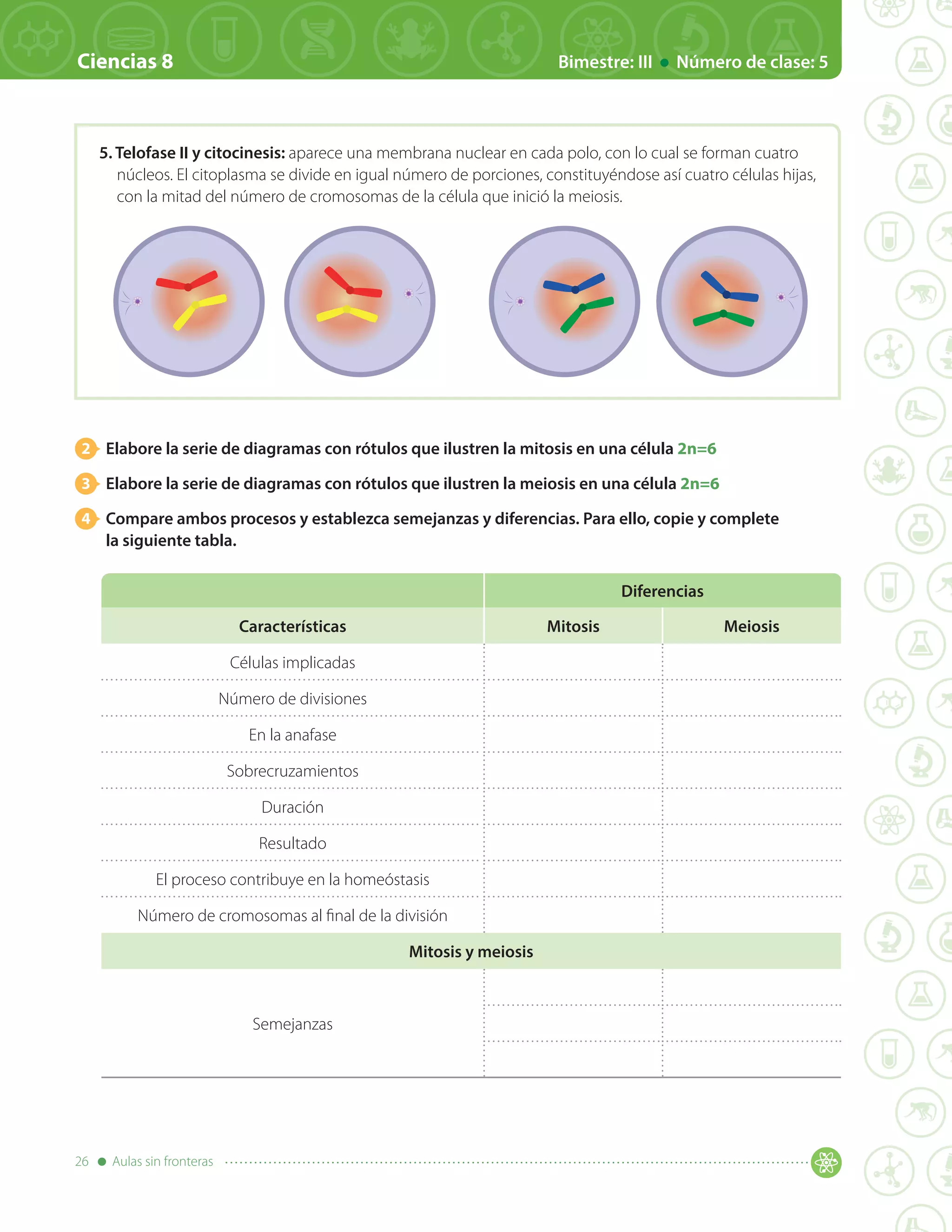 Ciclo celular mitosis y meiosis | PDF