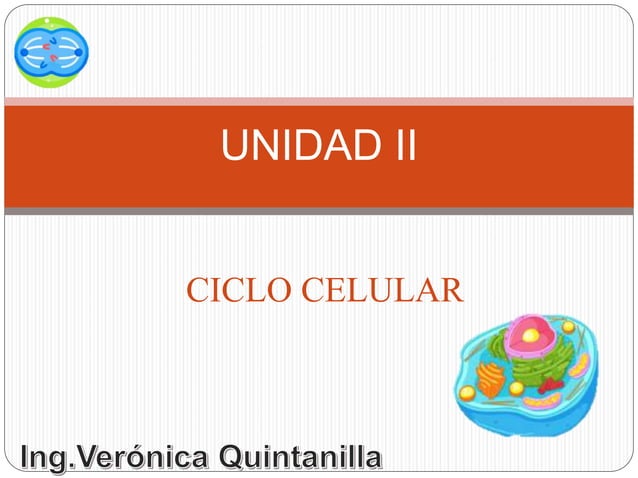 CICLO CELULAR Y SUS ELEMENTOS BIOLOGIA básica | PPT