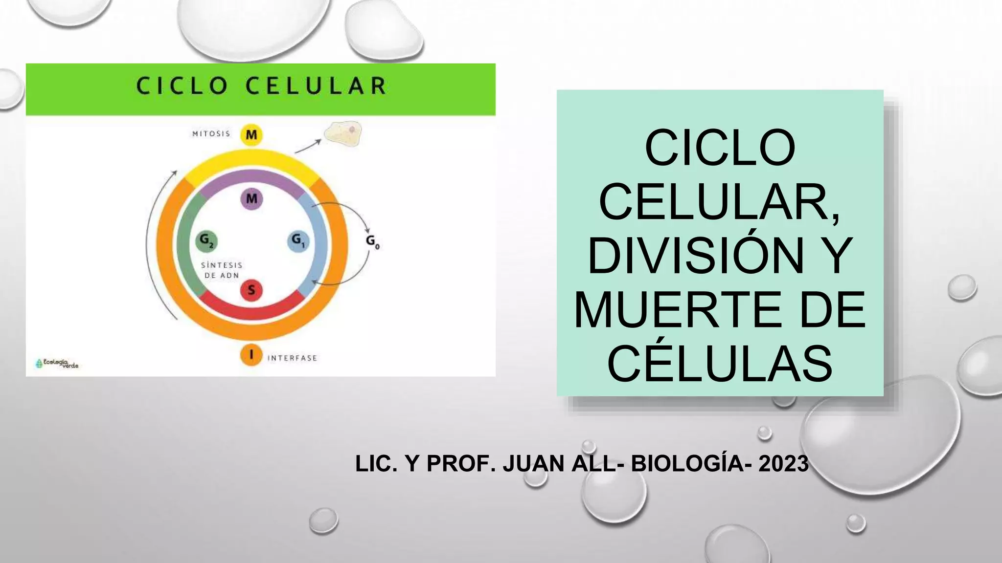 CICLO CELULAR, DIVISIÓN Y MUERTE DE CÉLULAS.pptx