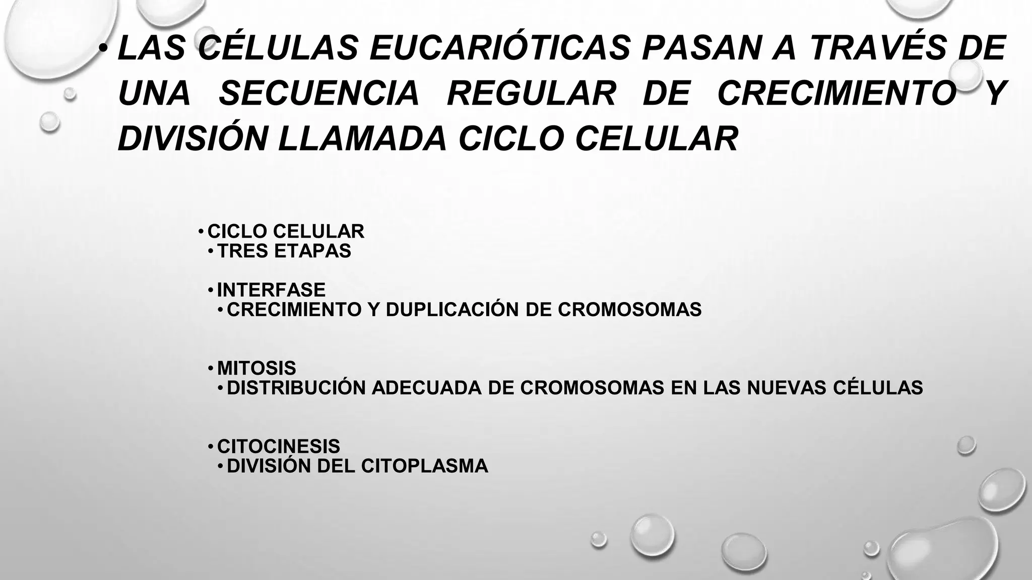 CICLO CELULAR, DIVISIÓN Y MUERTE DE CÉLULAS.pptx