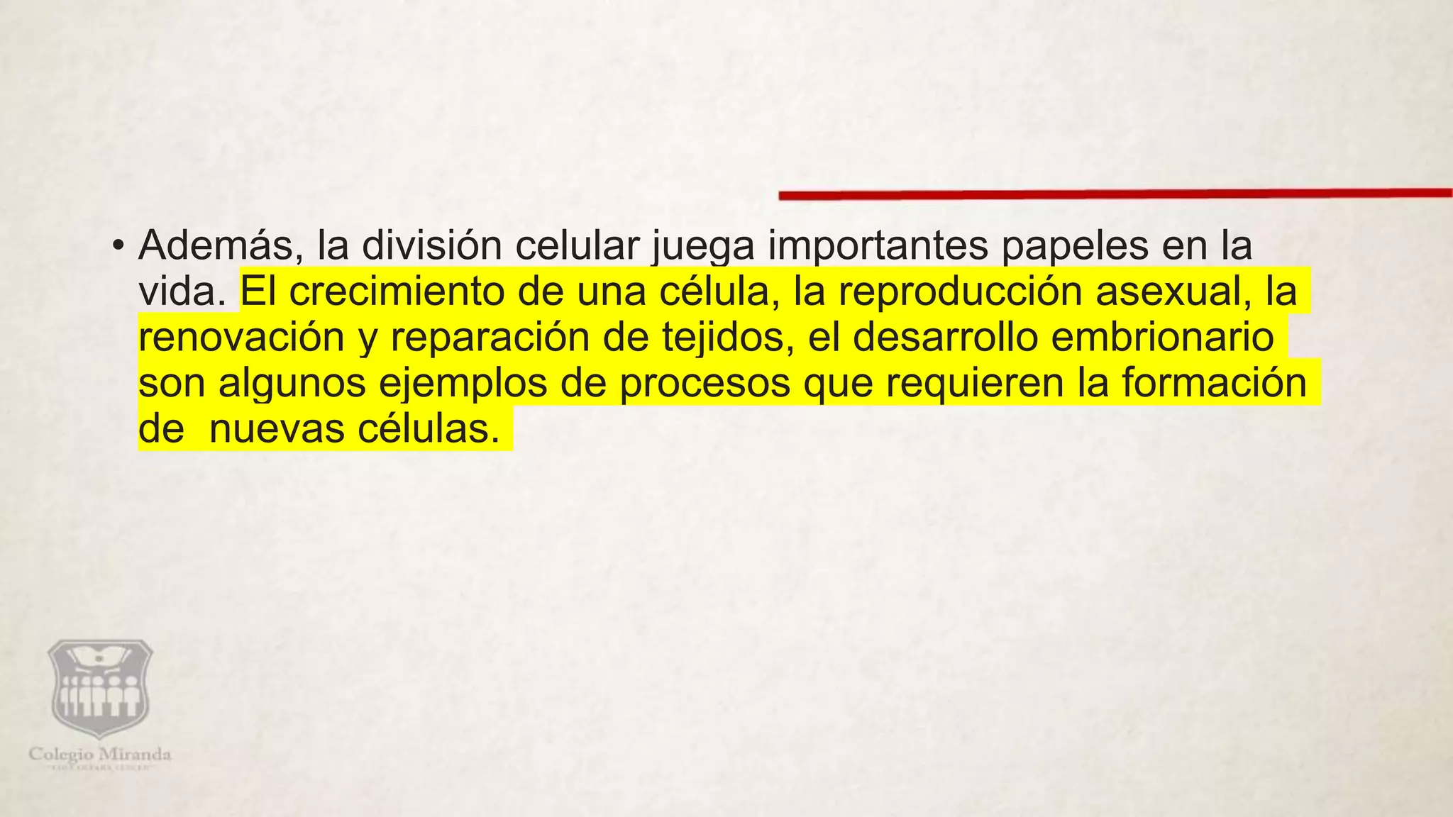 Ciclo celular e interfase | PPTX