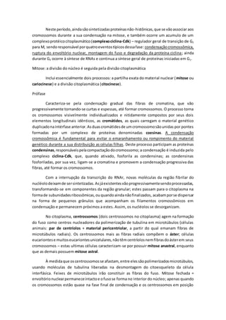 Ciclo celular e meiose | DOCX