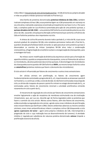 Ciclo celular e meiose | DOCX