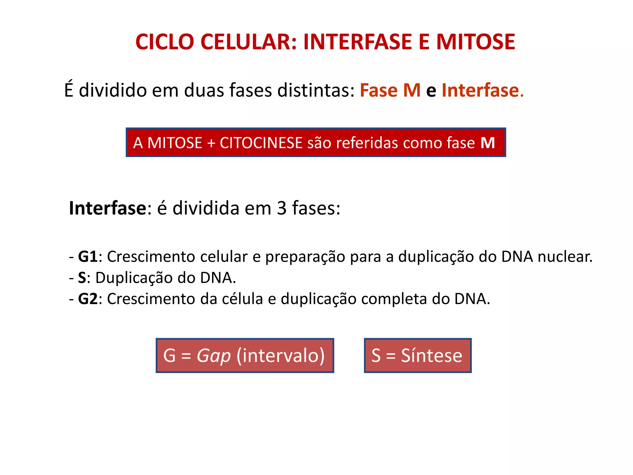 Ciclo celular e mitose.pdf