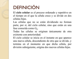Ciclo celular mitosis y meiosis | PDF