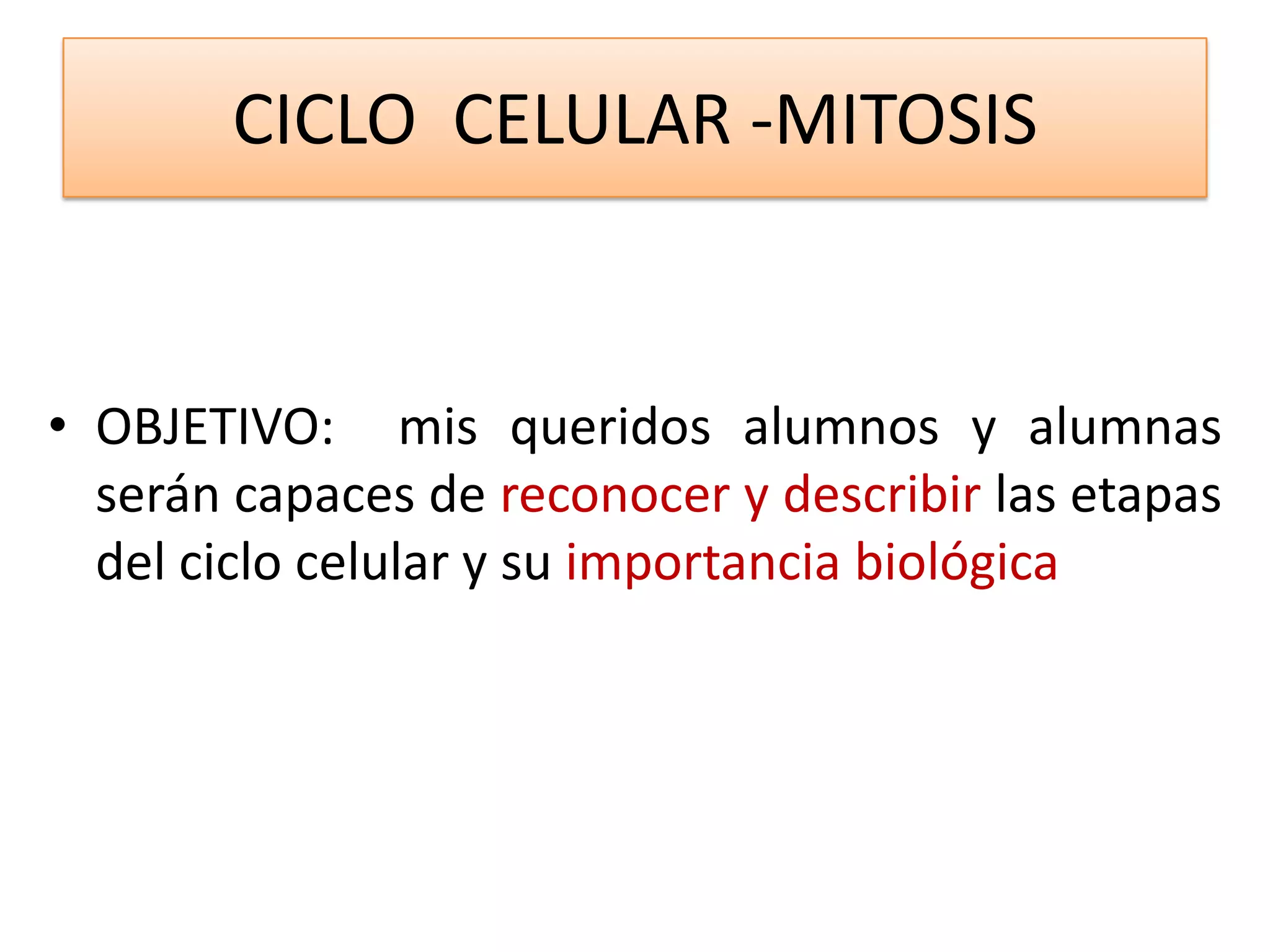 Ciclo celular y mitosis | PPTX