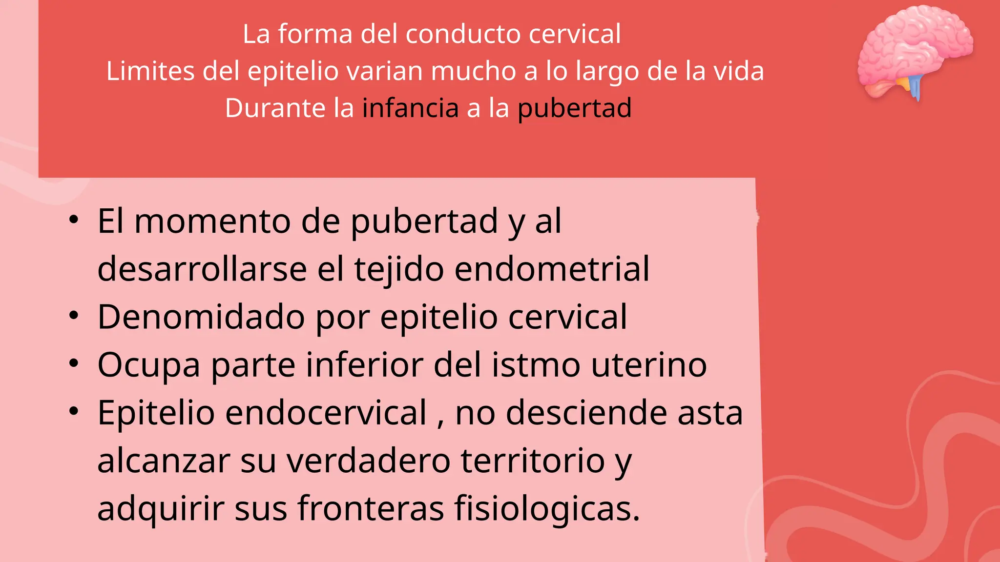 CICLO CERVICAL características y clasificación | PPTX