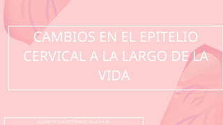 CICLO CERVICAL características y clasificación | PPTX