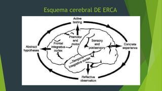 Ciclo de aprendizaje erca | PPTX
