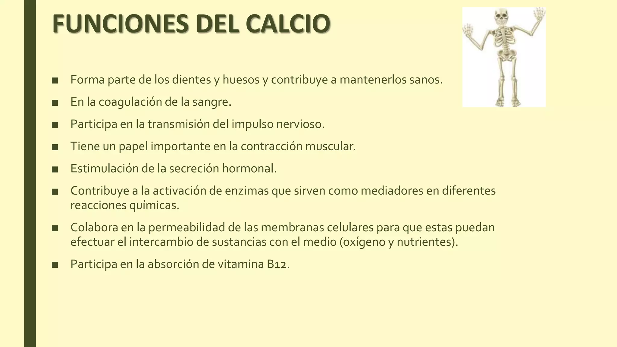 Ciclo de calcio | PPTX