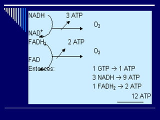 Ciclo de krebs (cap. viii) | PPT