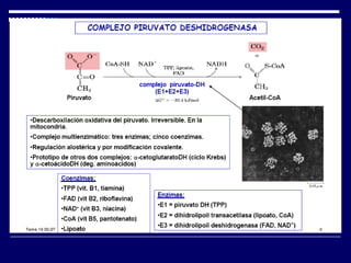 Ciclo de krebs (cap. viii) | PPT