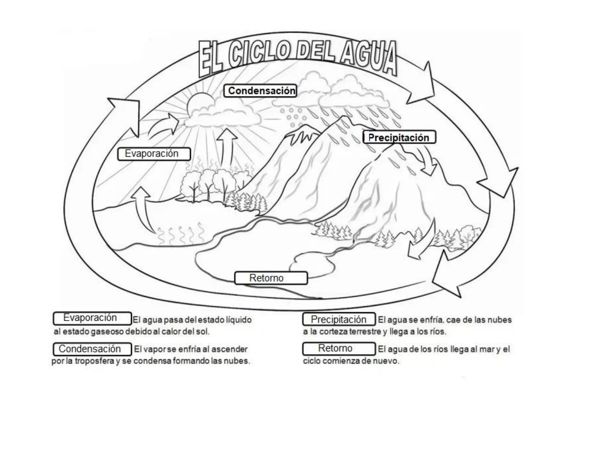 EL CICLO DEL AGUA PARA TERCERO DE PRIMARIA | PDF