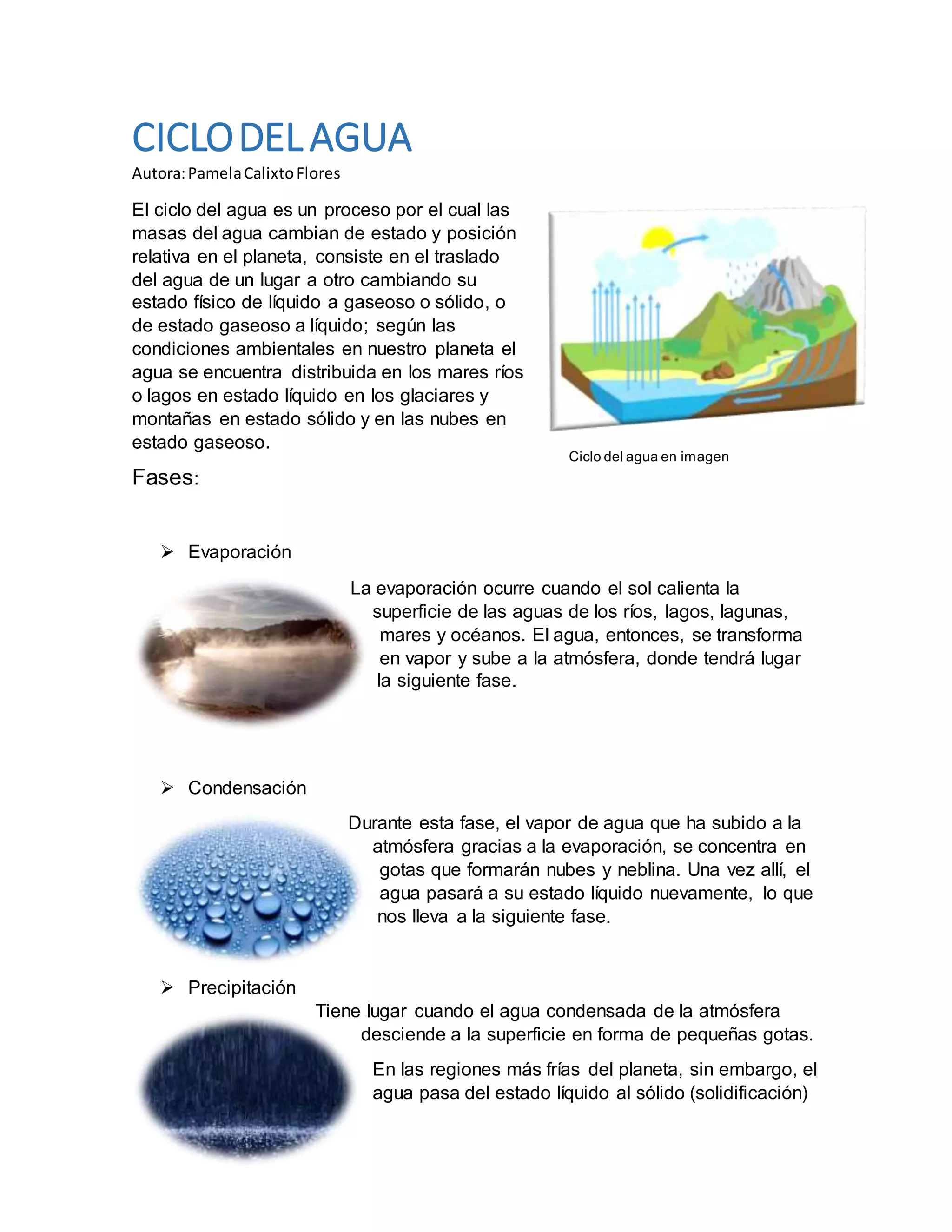Ciclo del agua pamela | DOCX