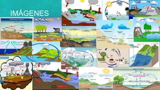 Ciclo de la naturaleza | PPTX