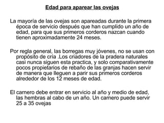 Ciclo De La Oveja 322 | PPT