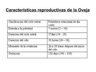 Ciclo De La Oveja 322 | PPT